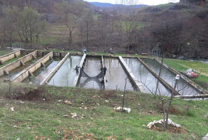 Ανακαλύψτε το ιχθυοτροφείο πέστροφας στην ορεινή Ροδόπη!