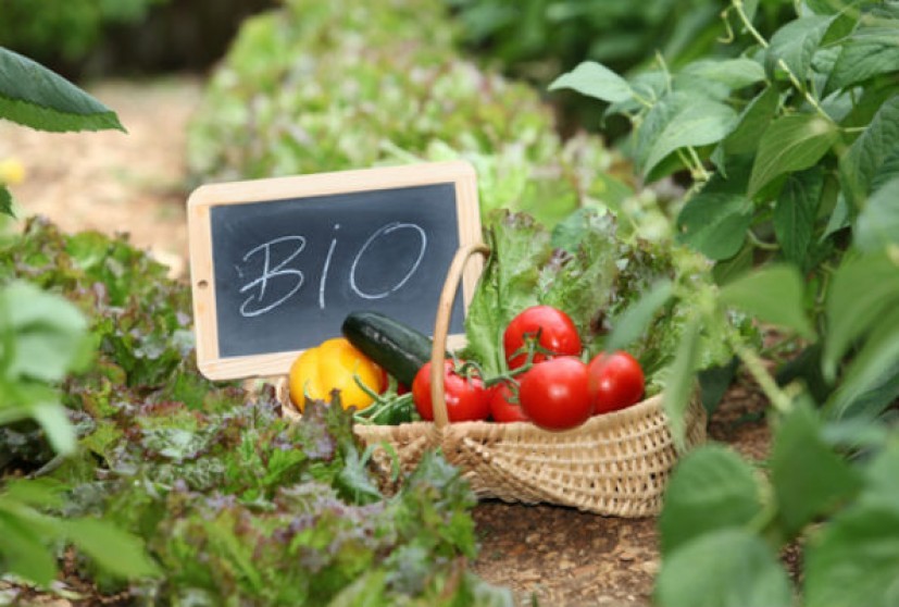Βιολογική Γεωργία & Κτηνοτροφία